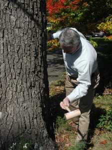 CT Tree Warden's Association | UConn Extension | College of Agriculture ...
