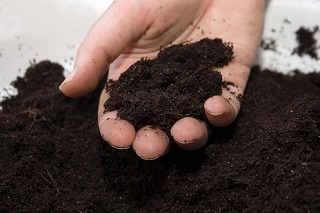 Soil Testing Lab is Open | UConn Extension | College of Agriculture ...
