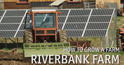 Riverbank Farm | UConn Extension | College of Agriculture, Health and ...