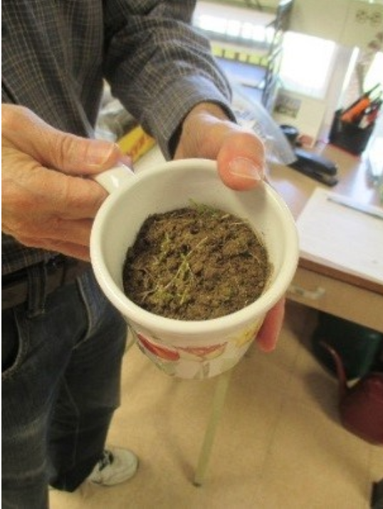 Have Your Soil Tested for Macro and Micro Nutrients | UConn Extension ...