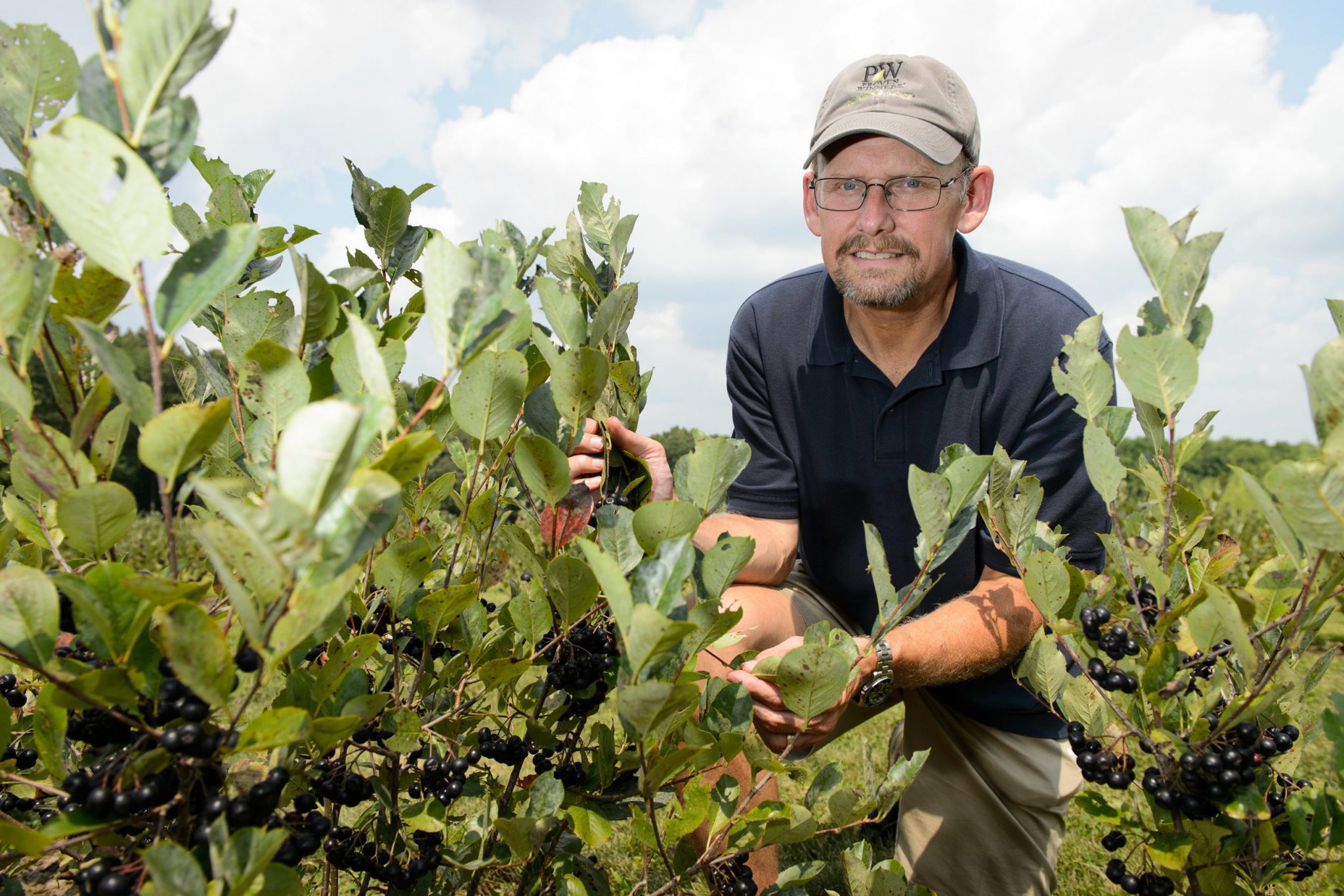 Mark Brand | UConn Extension | College of Agriculture, Health and ...