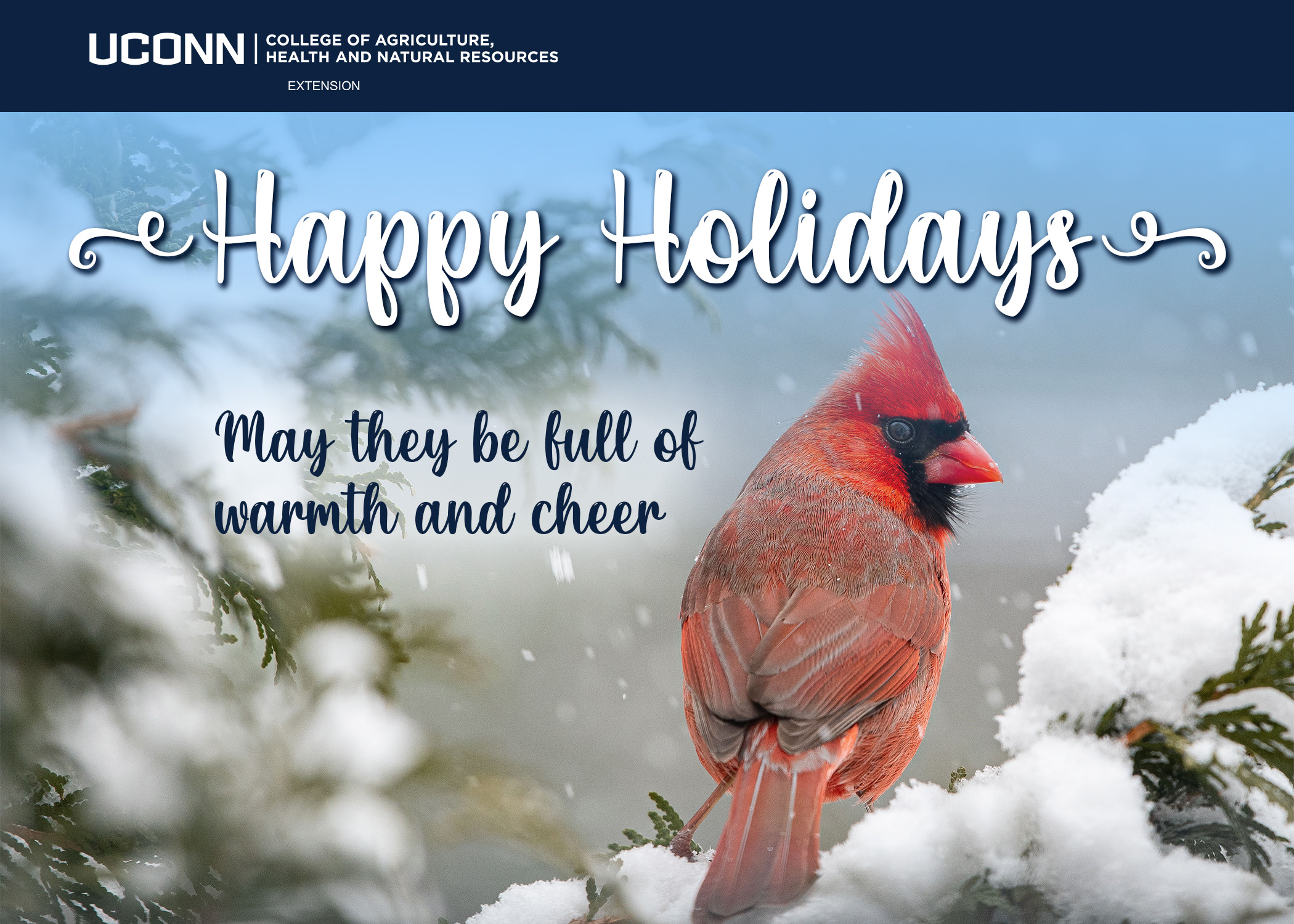 Happy Holidays from UConn Extension | UConn Extension