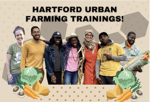 Urban Farmer Training Offered on July 15th | UConn Extension