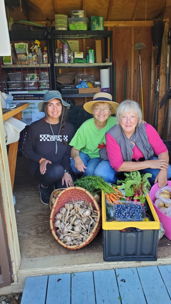 Become a Master Gardener – Apply for the 2024 Program | UConn Extension