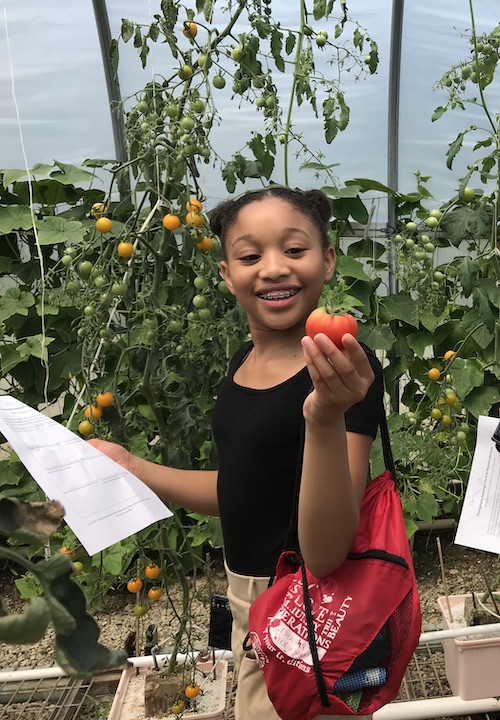 Youth Photography Scavenger Hunt at Meechooôk Farm | UConn Extension ...