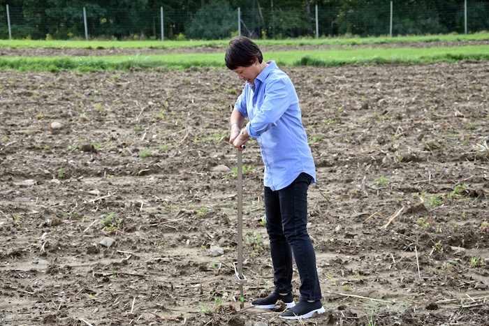 Fall Soil Testing Yields Spring Benefits | UConn Extension | College of ...
