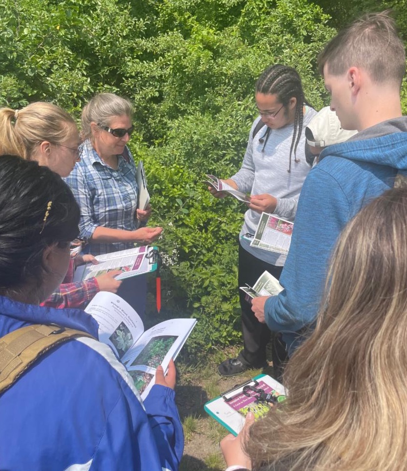 Webinar Planned on Mapping Invasive Plants in a Coastal Forest | UConn ...