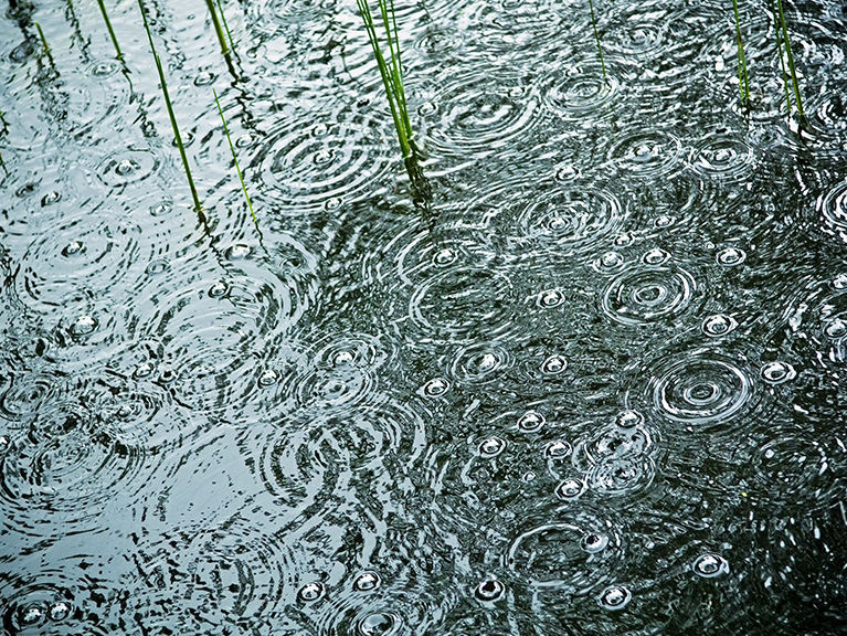 Preparing for Heavy Rain: What Residents and Farmers Can Do | UConn ...