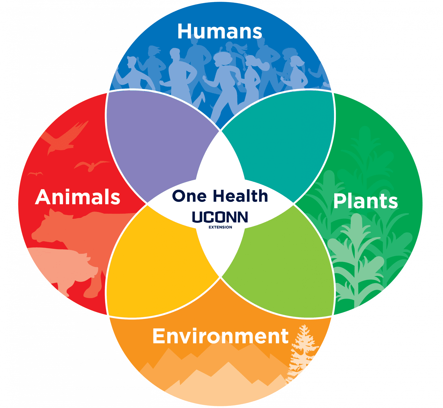 ¿Qué es One Health? | UConn Extension