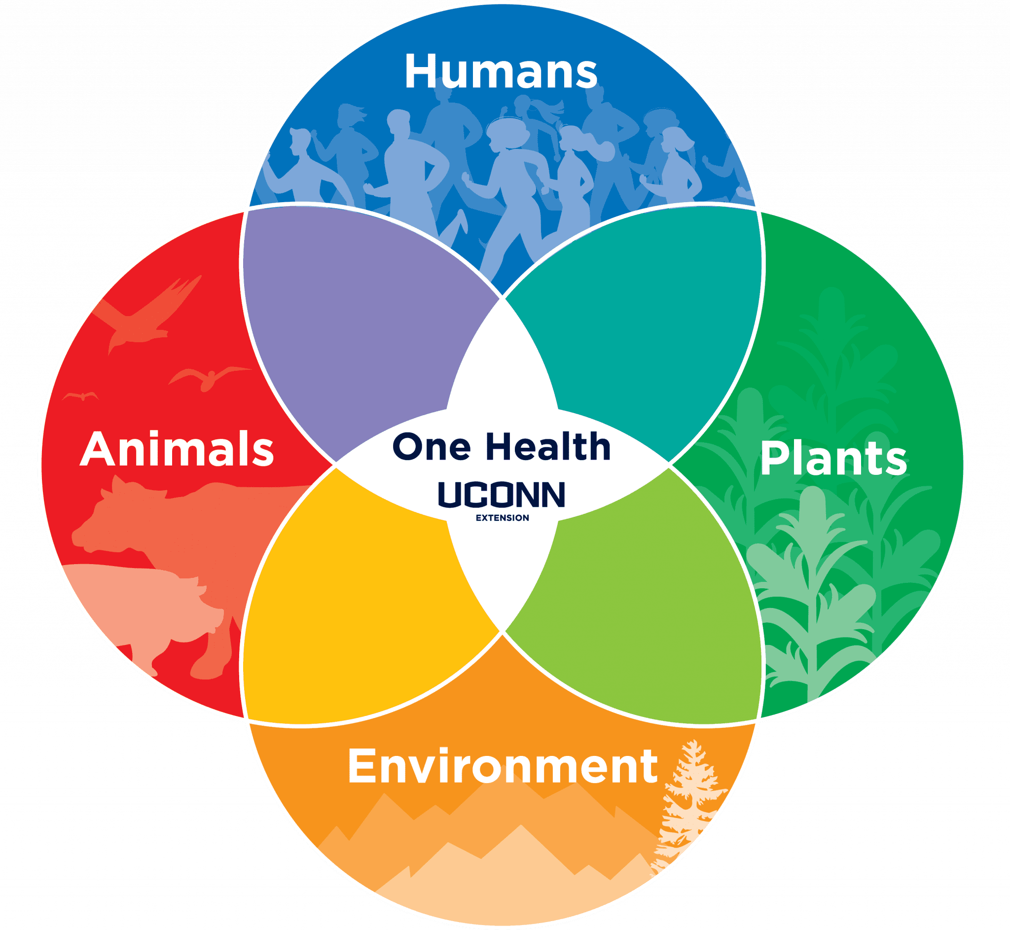 What is One Health? | UConn Extension