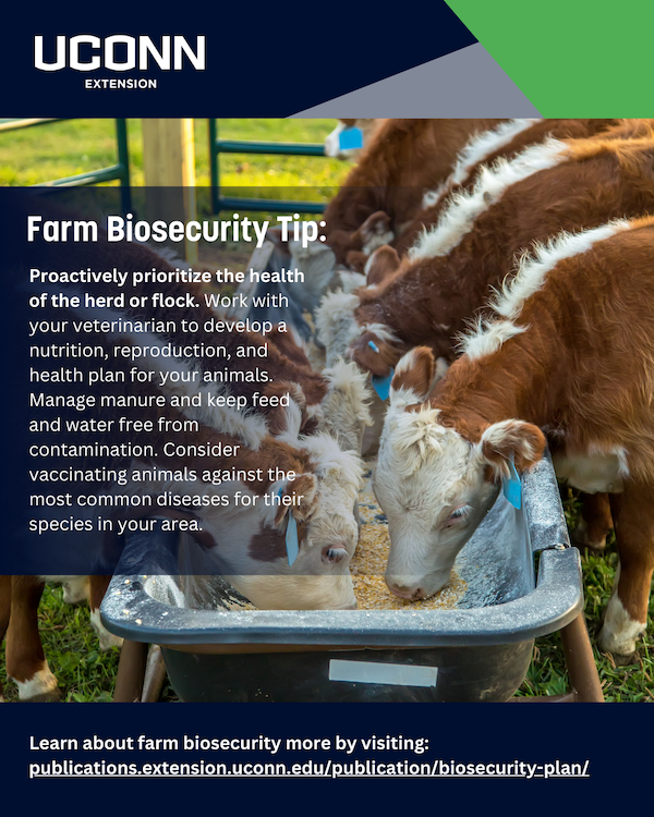 Farm Biosecurity Tip | UConn Extension