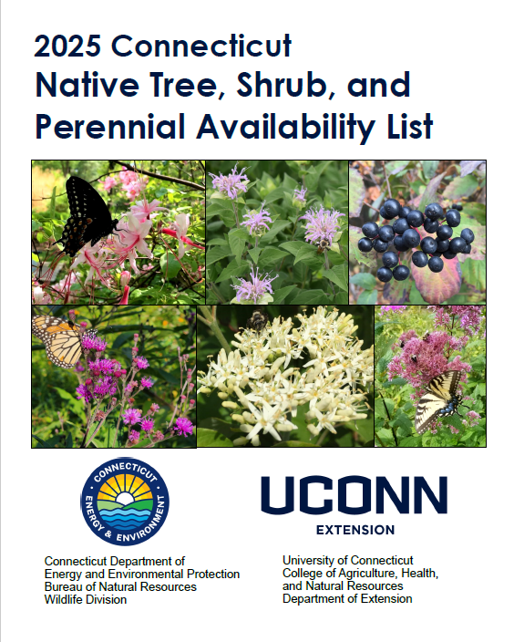 Survey: CT Native Perennial, Tree & Shrub Availability List | UConn Extension