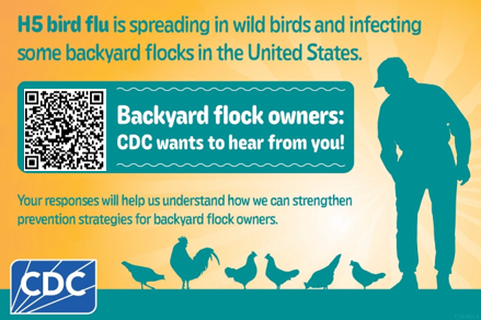 Survey for Backyard Poultry Flock Owners | UConn Extension